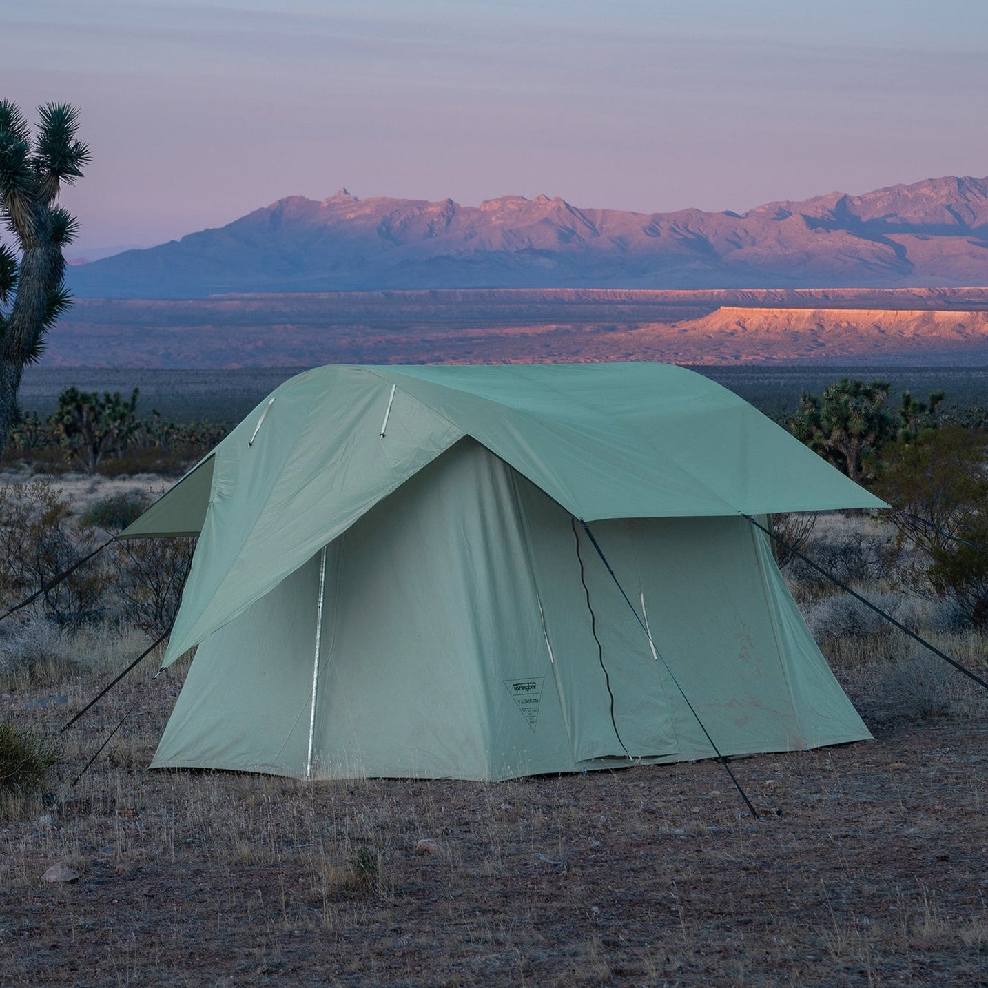 STORMFLY® – MEDIUM– Springbar