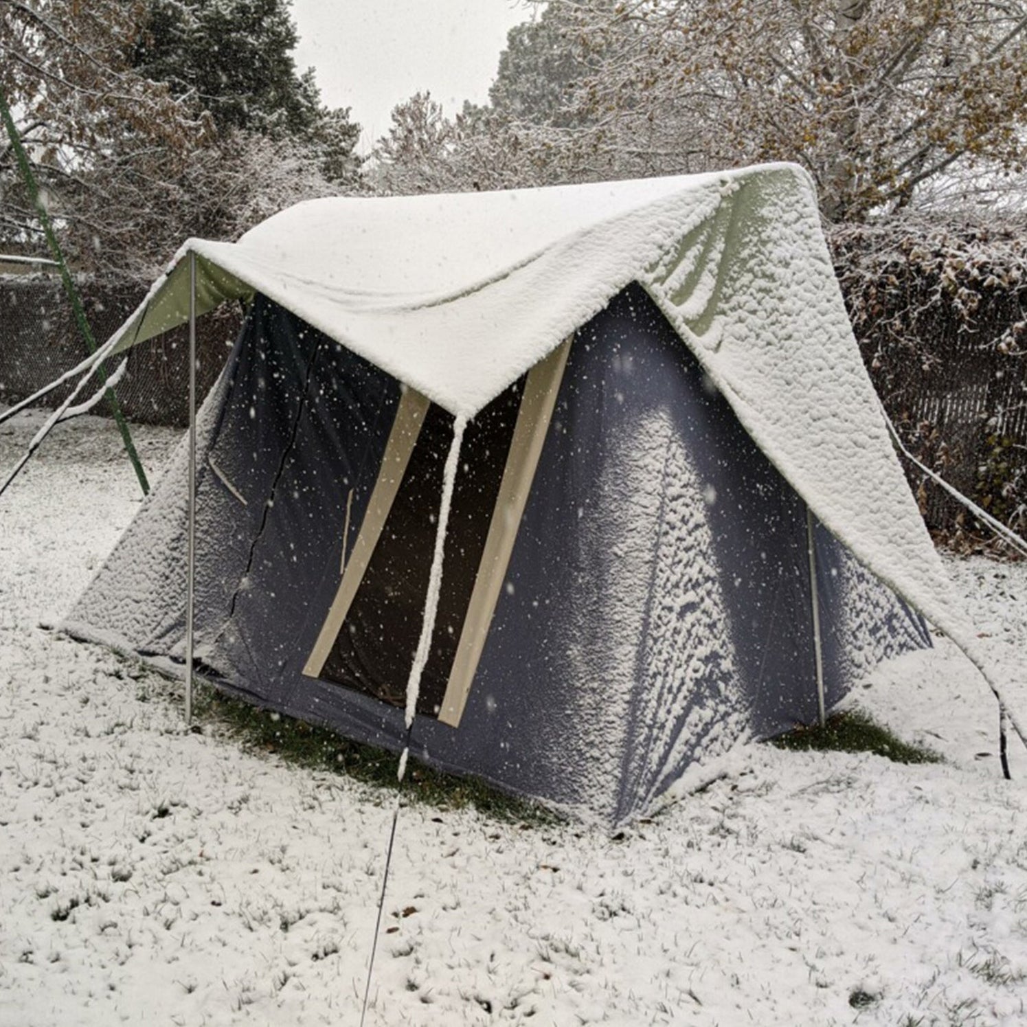 STORMFLY® – MEDIUM– Springbar