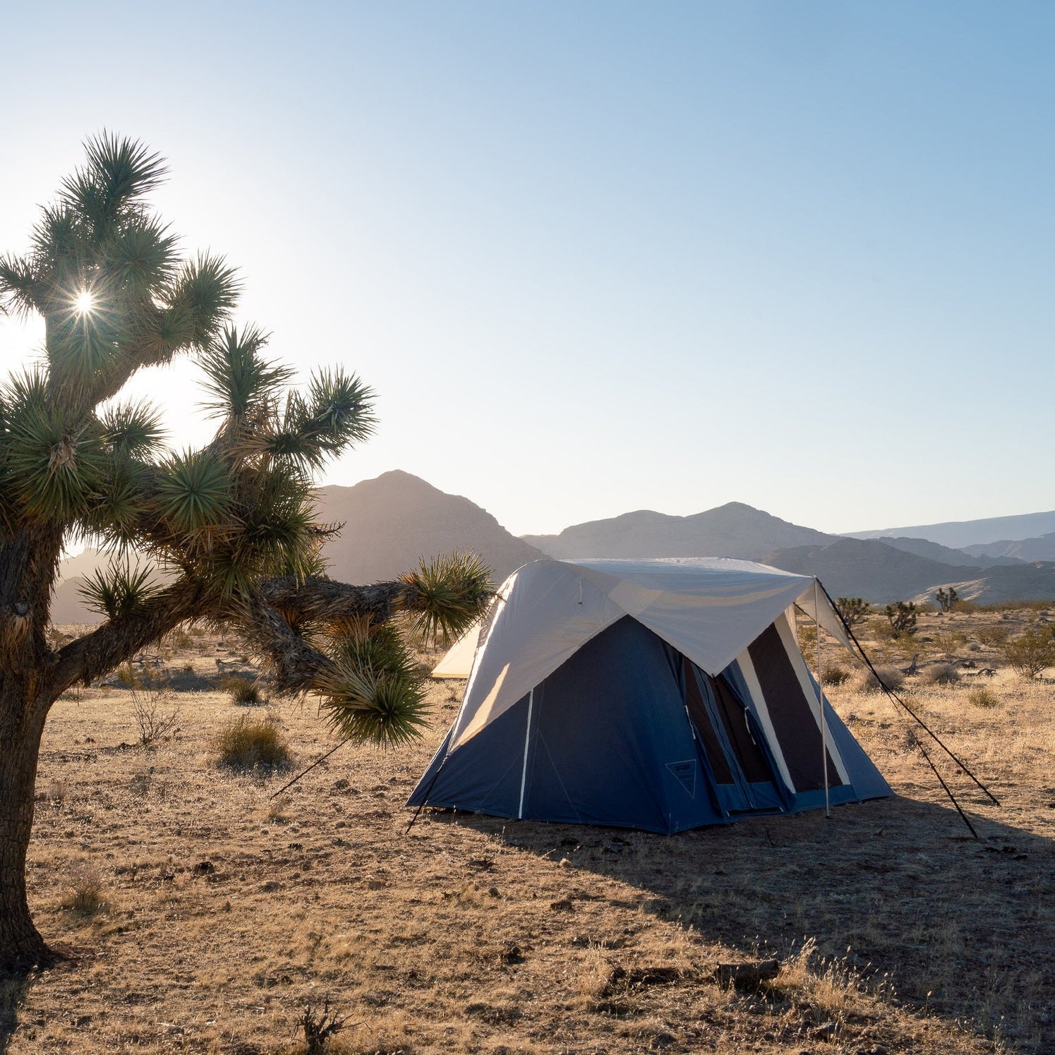 STORMFLY® – MEDIUM– Springbar