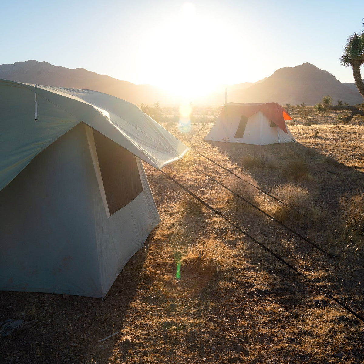 Tents in Stock Today– Springbar